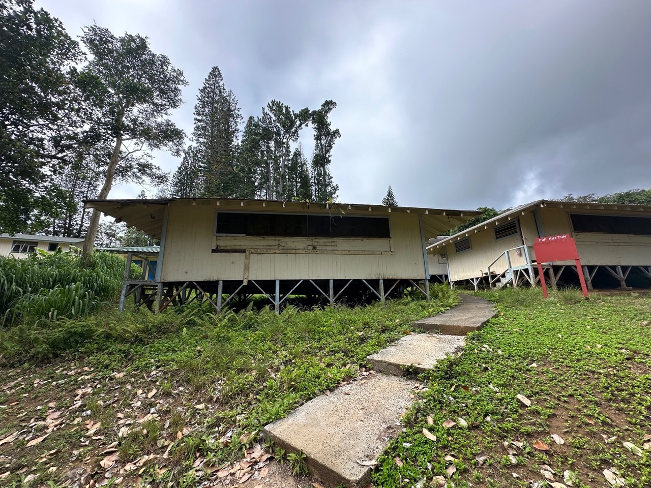 Future of Camp Maluhia takes shape with upgrades, community support ...